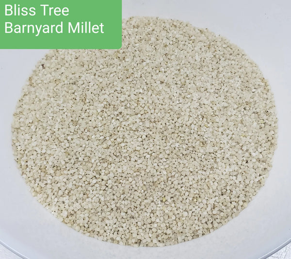 Barnyard Millet (Raw) - 2lb - Bliss Tree